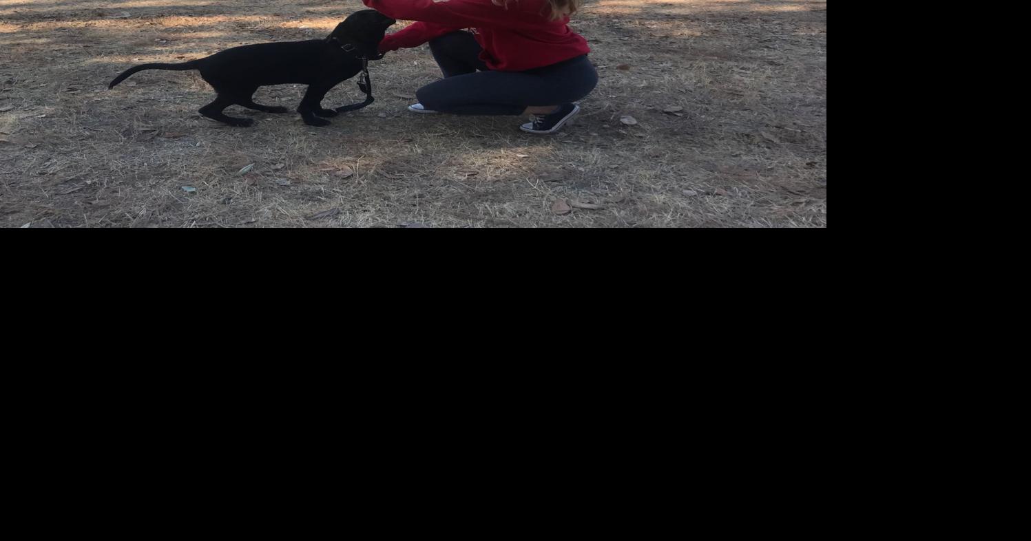 Valley Animal Haven making a PAWsitive change | Local News ...