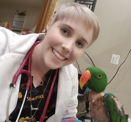 From freedom to caged calls: Understanding parrot behaviors | Ask Dr ...