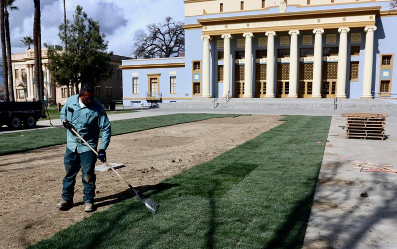 Hanford Civic Park gets new sod, grass following Winter Wonderland ...