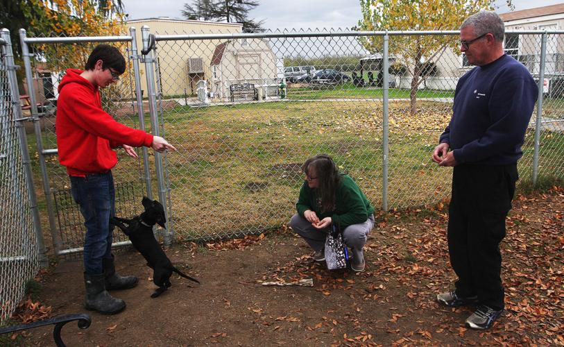 Local animal shelters need donations too | Local News | hanfordsentinel.com