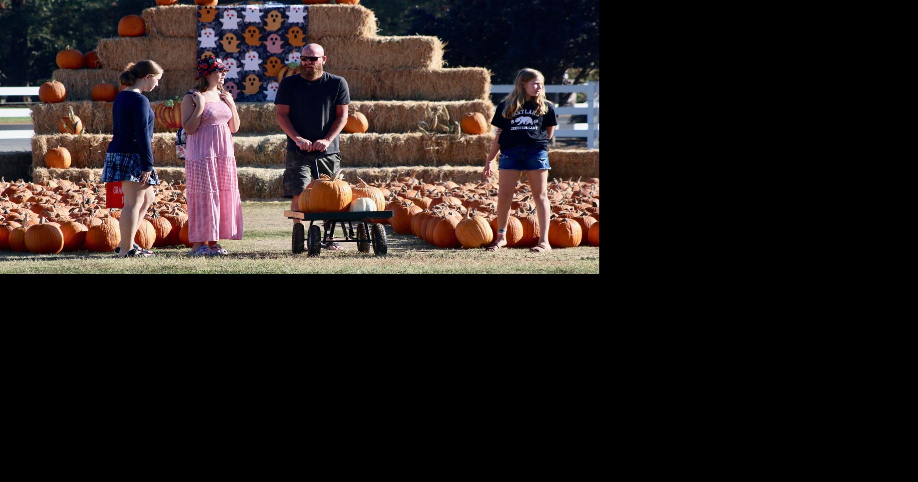 The Patch offers pumpkin heaven for kids, adults alike | Local News ...