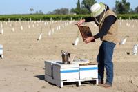 Kings Art Center celebrates painting outdoors, art of local youth ...