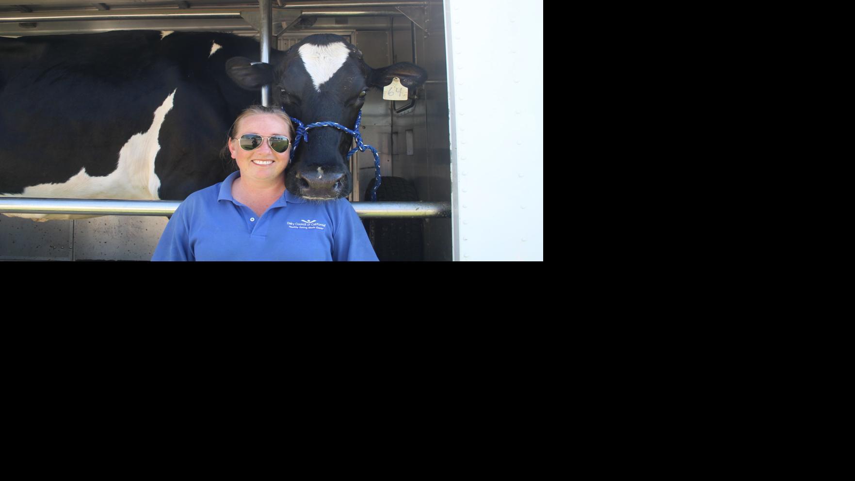 Students learn more about cows | Gallery | hanfordsentinel.com