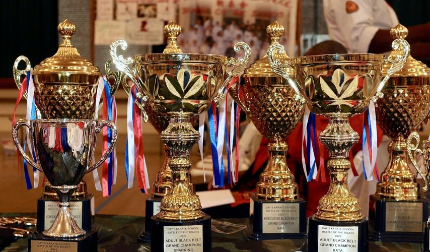 Battle of the Dojos draws competitors from around the Valley to Hanford ...