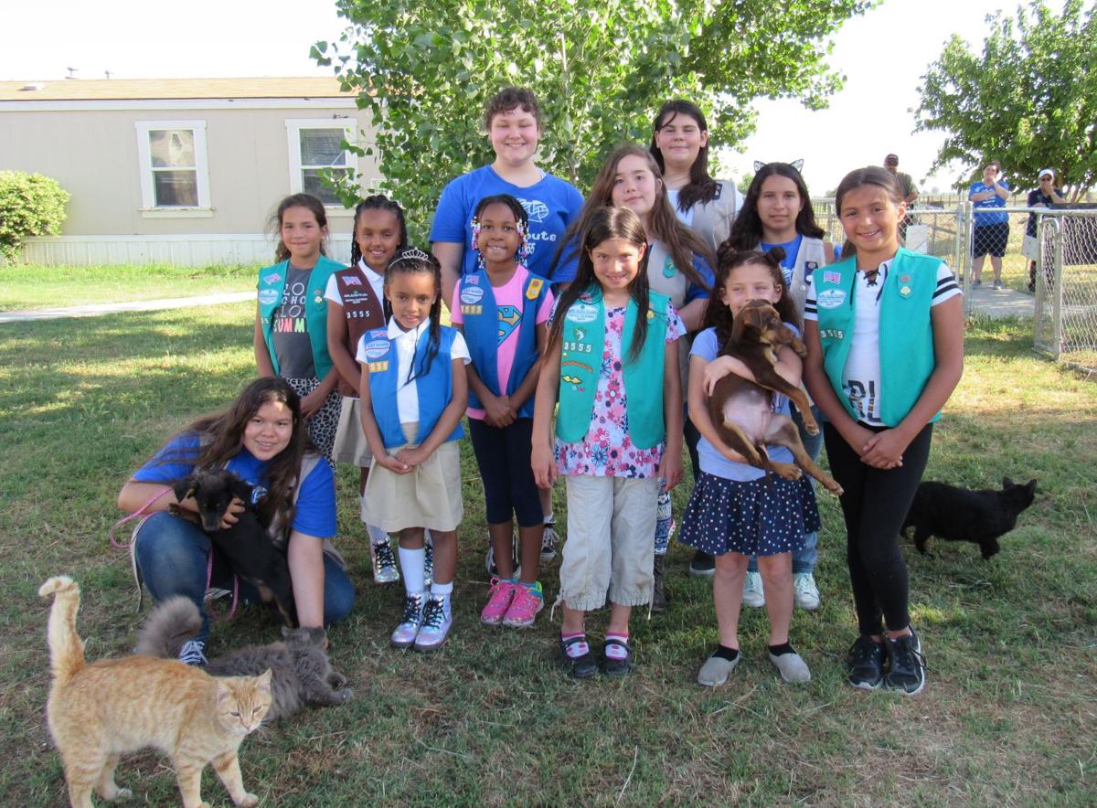 Girl Scouts troop organizes collection drive to benefit Kings SPCA ...
