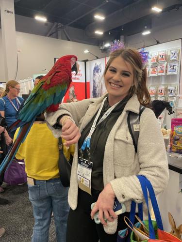 Insights from the 2024 Western Veterinary Conference | Ask Dr. Kait ...