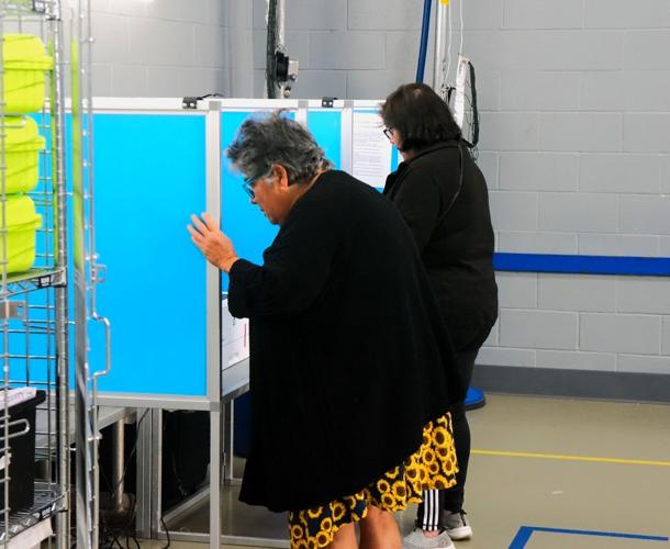 Voters, volunteers head to the Longfield Center on Election Day ...