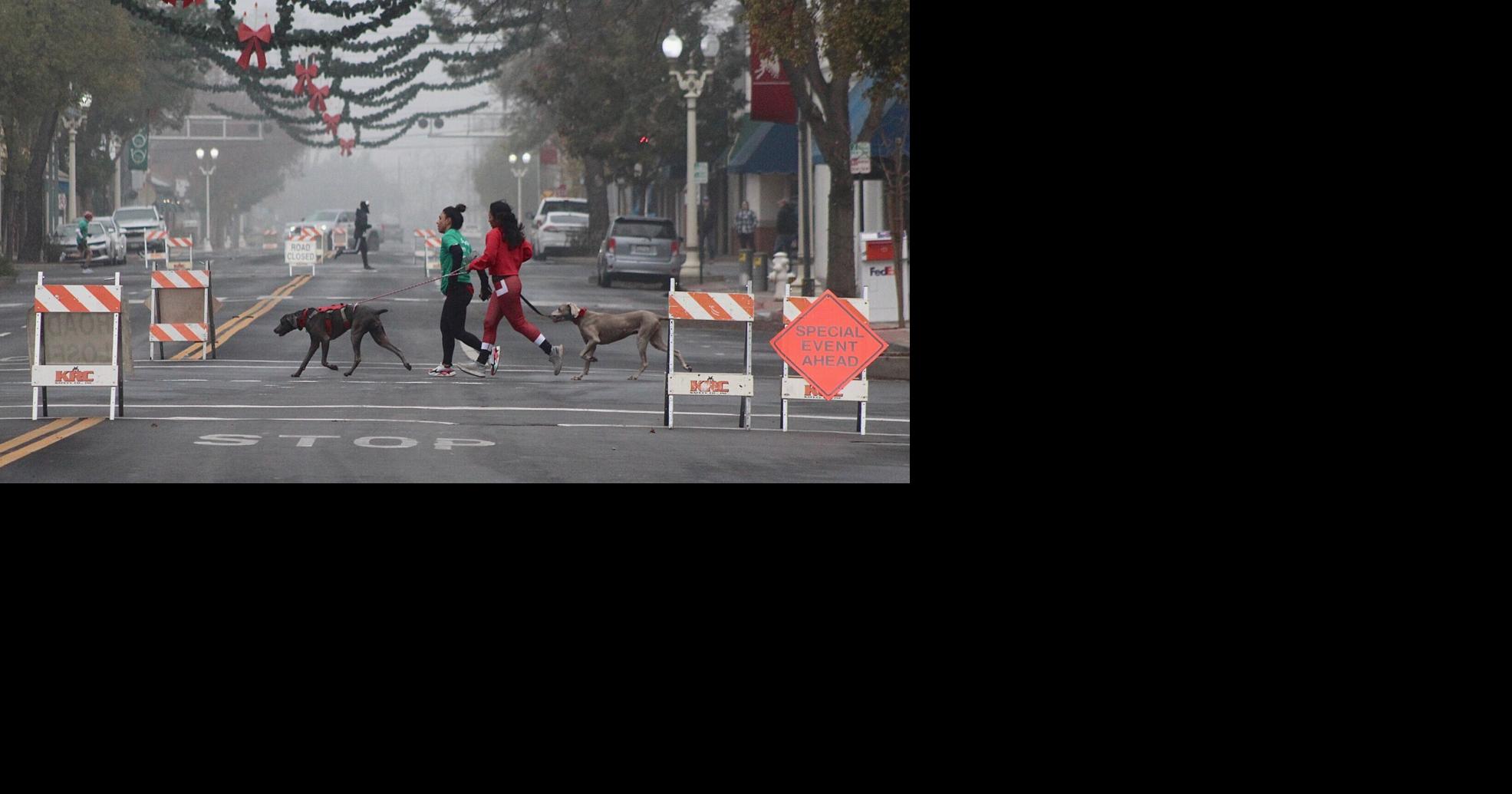 Rockin Rudolph Race draws two-legged and four-legged runners ...