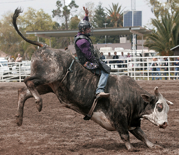 What a ride: Laton rodeo opens with parade, patriotism | Local News ...