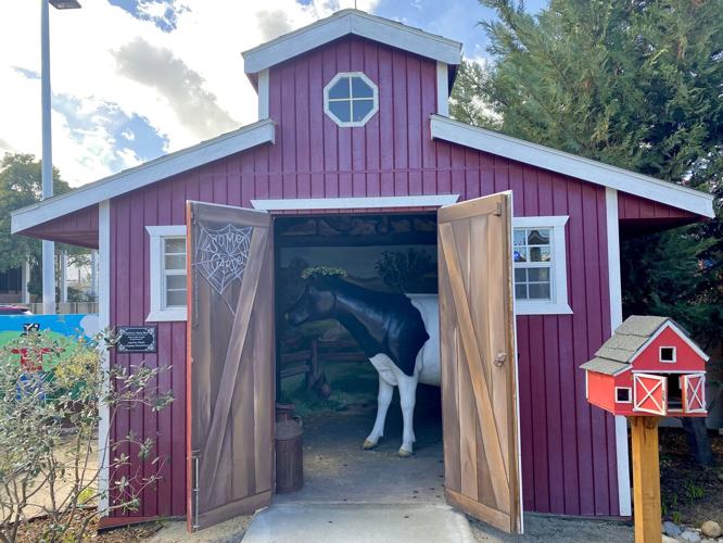 Children’s Storybook Garden & Museum named Hanford non-profit of the ...