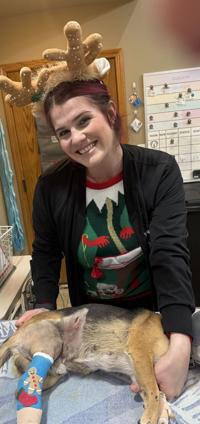 Bird flu returns to California | John Lindt | business ...