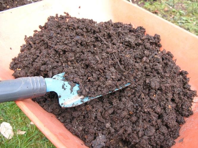 What is the difference between mulch and compost? | Column Byline ...