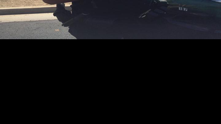 Cop rescues cat from car, adopts it | Local News | hanfordsentinel.com