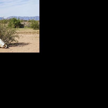 How did Jesus resist temptation? | Tim Dinkins | Faith-and-values ...