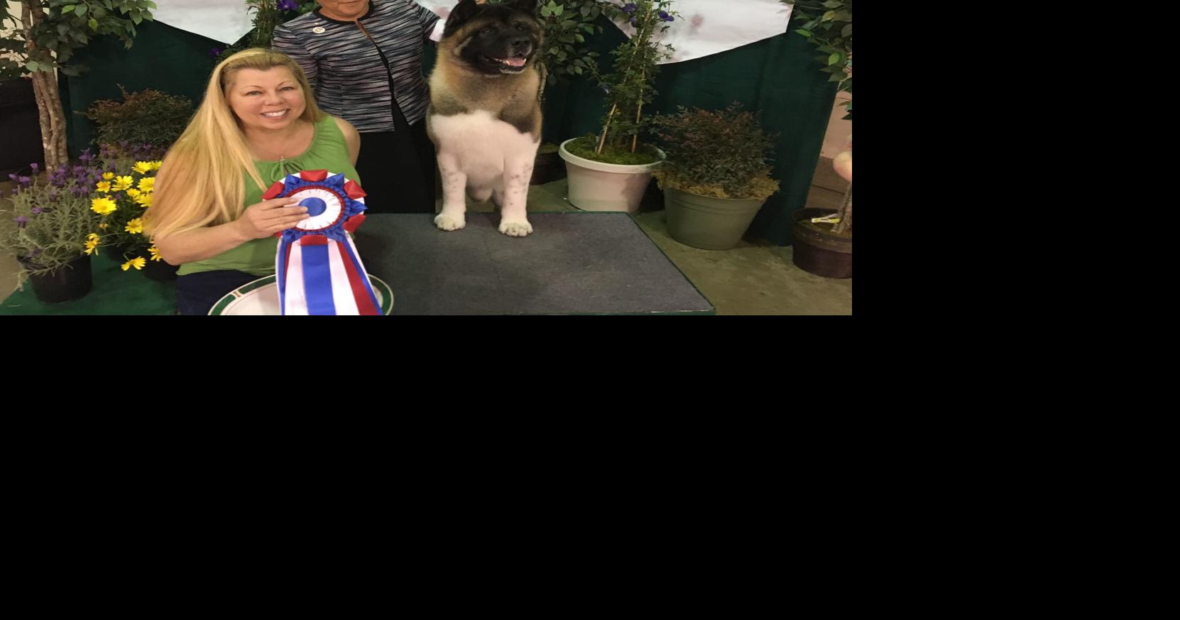 Hundreds of dogs pack into fairgrounds | Local News | hanfordsentinel.com