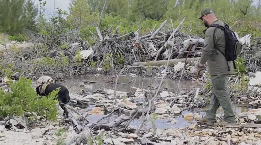 Lynette Hooker case: Coast Guard concludes latest search in Bahamas ...