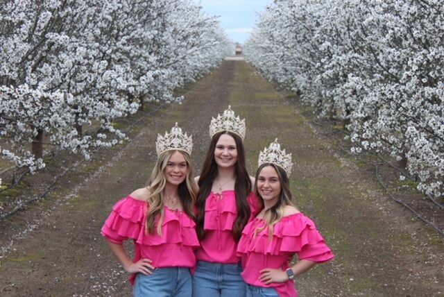 Hanford Portuguese Festa begins Friday | Lifestyles | hanfordsentinel.com