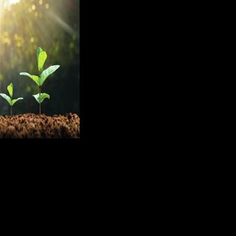 A spiritual growth plan for every believer | Tim Dinkins | Lifestyles ...