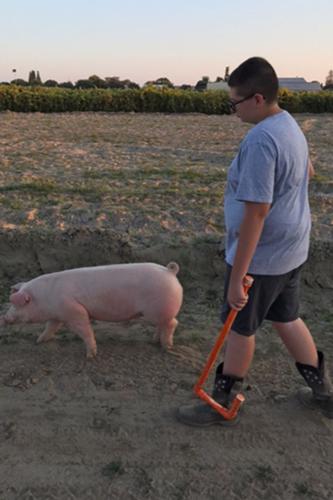 FFA students ready to compete, host banquet | Local News | Selma ...