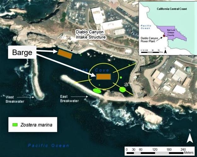 Changes to Diablo Canyon Power Plant decommissioning plan will save ...