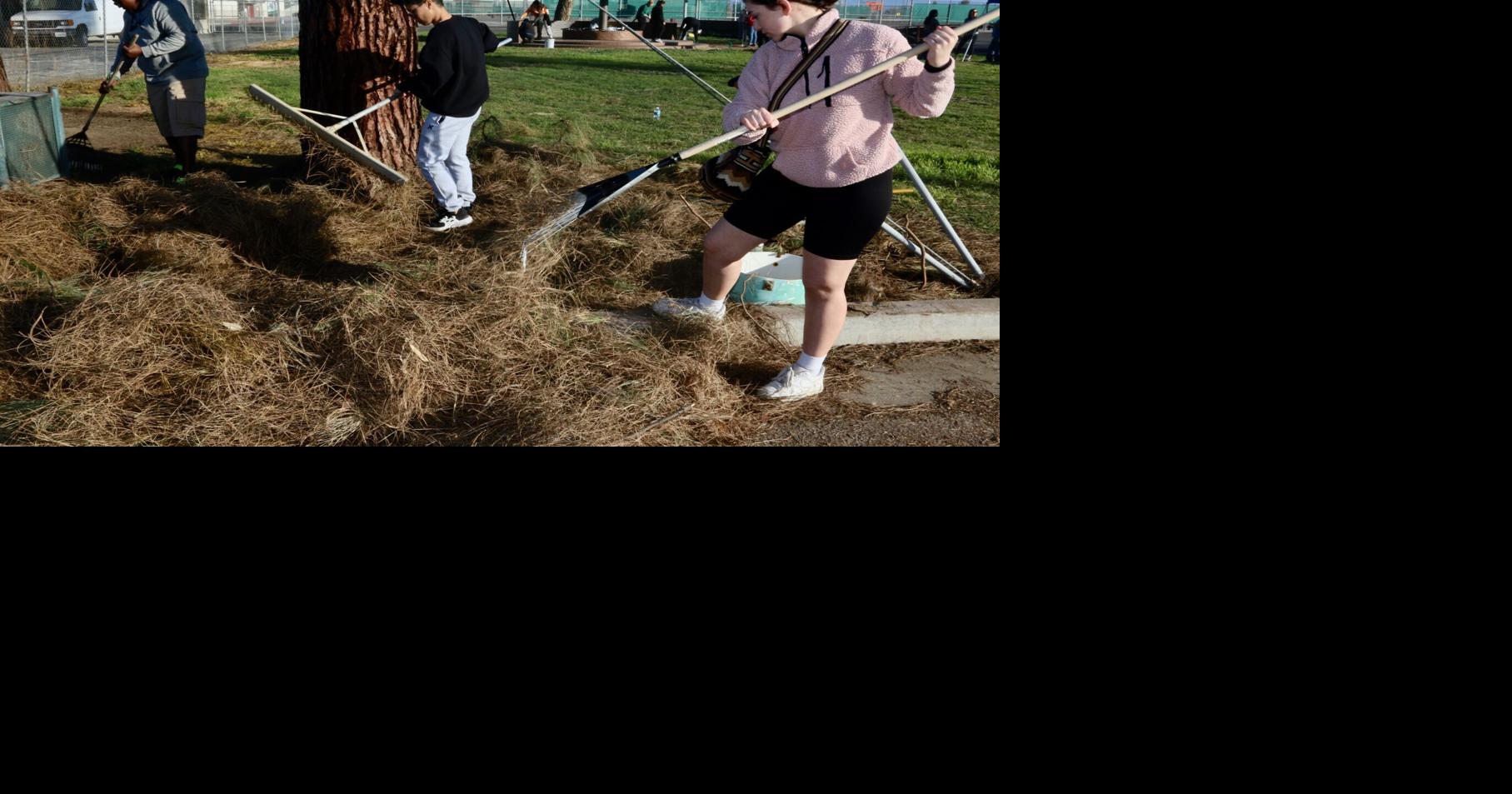 Nearly 50 turn out to beautify Hanford's Earl F. Johnson Park as part ...