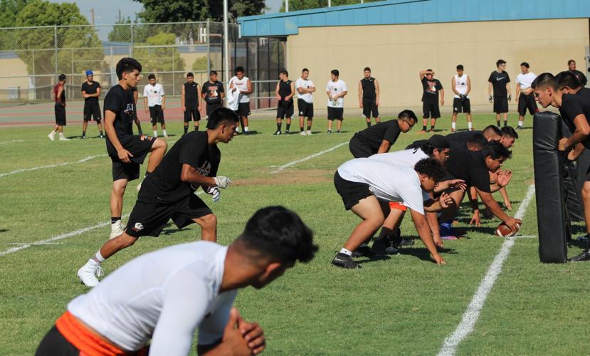 Bears, Vikings begin spring practice | Local News | Selma / Kingsburg ...