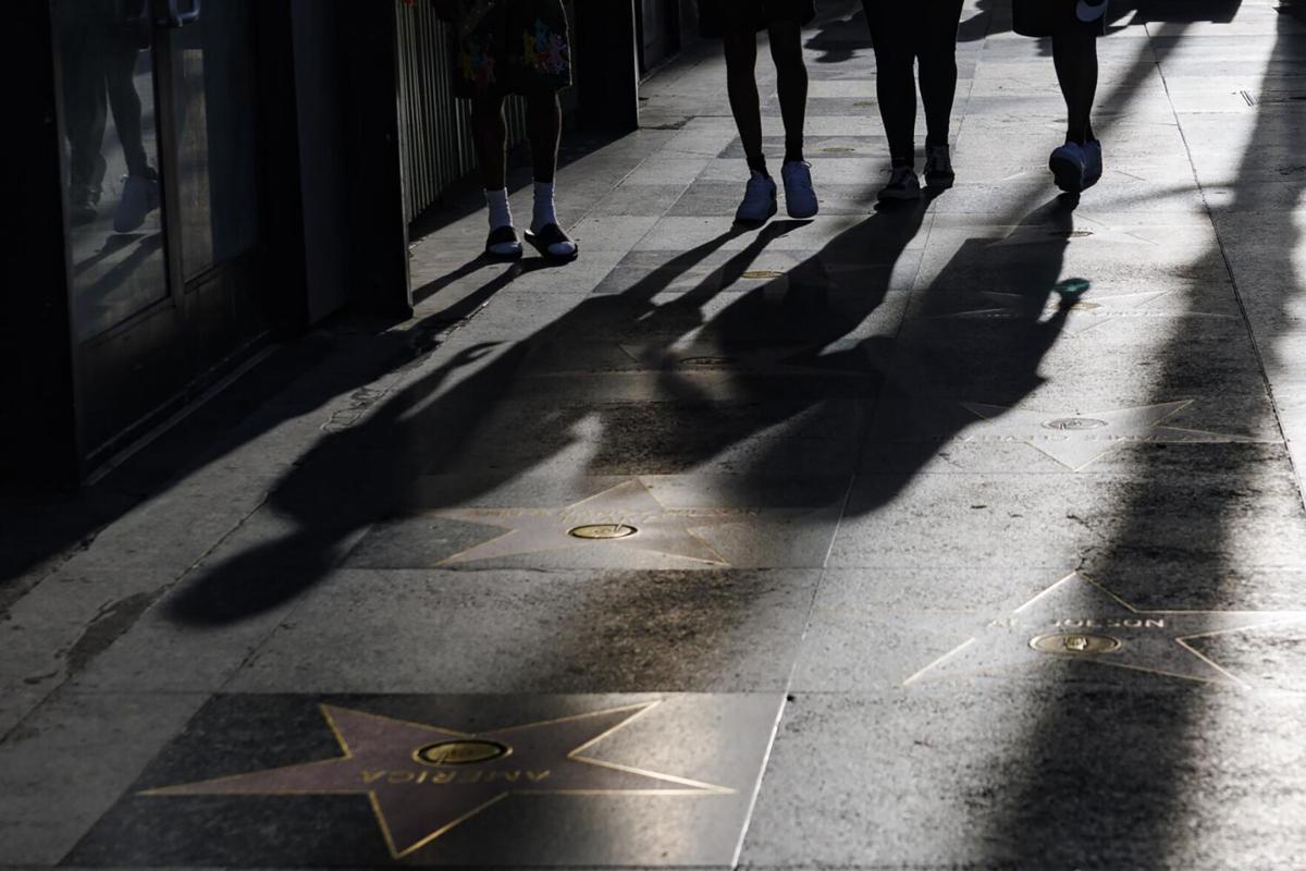 Family calls for justice in dog attack, killing of man on Hollywood ...