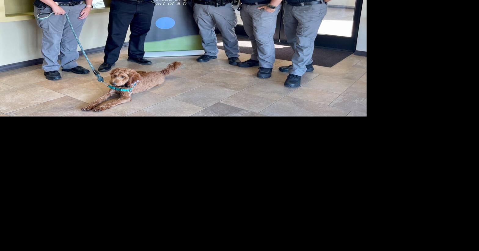 Hanford Police, local businesses team up launch youth mountain bike ...