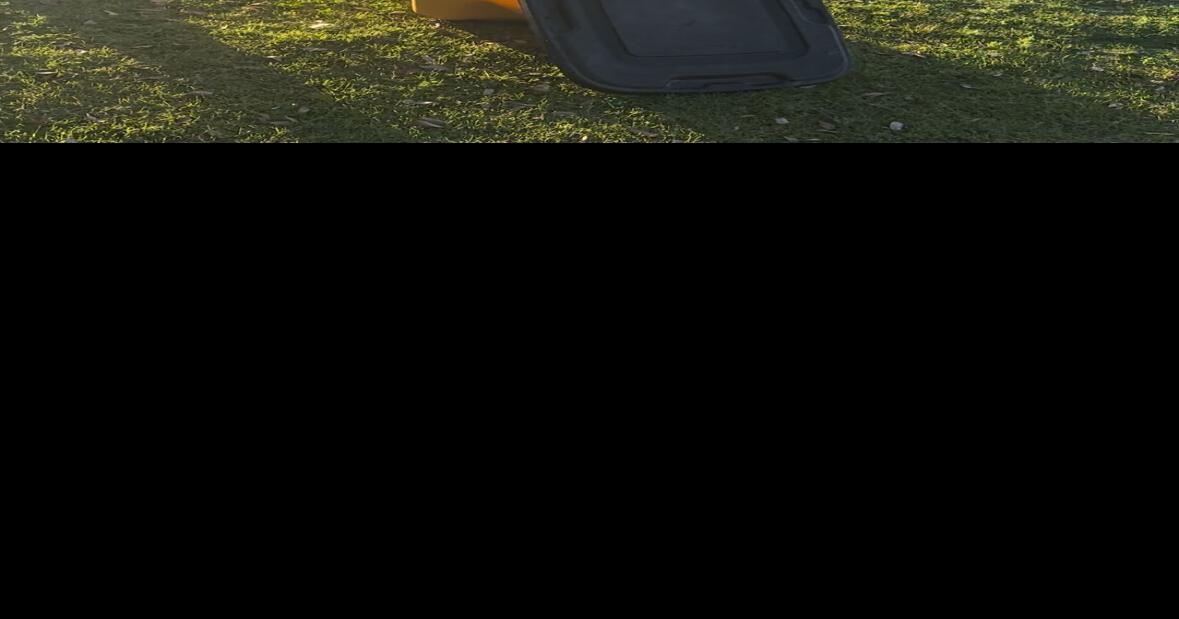 The story of King Louie, the duck | Ask Dr. Kait | Lifestyles ...