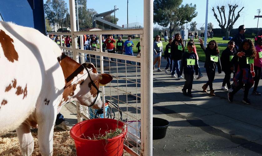 Agricultural stewardship continues at Farm Day | Local News ...