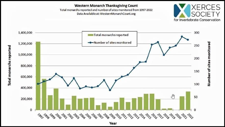 Monarch butterfly population bounces back; largest numbers in Samta ...