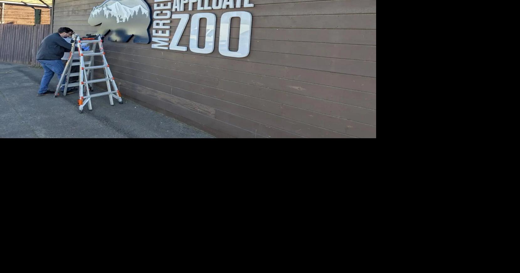 Some Merced City Council members offering cash reward for return of ...