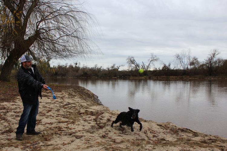 Kings River full from excess rains | Local News | Selma / Kingsburg ...