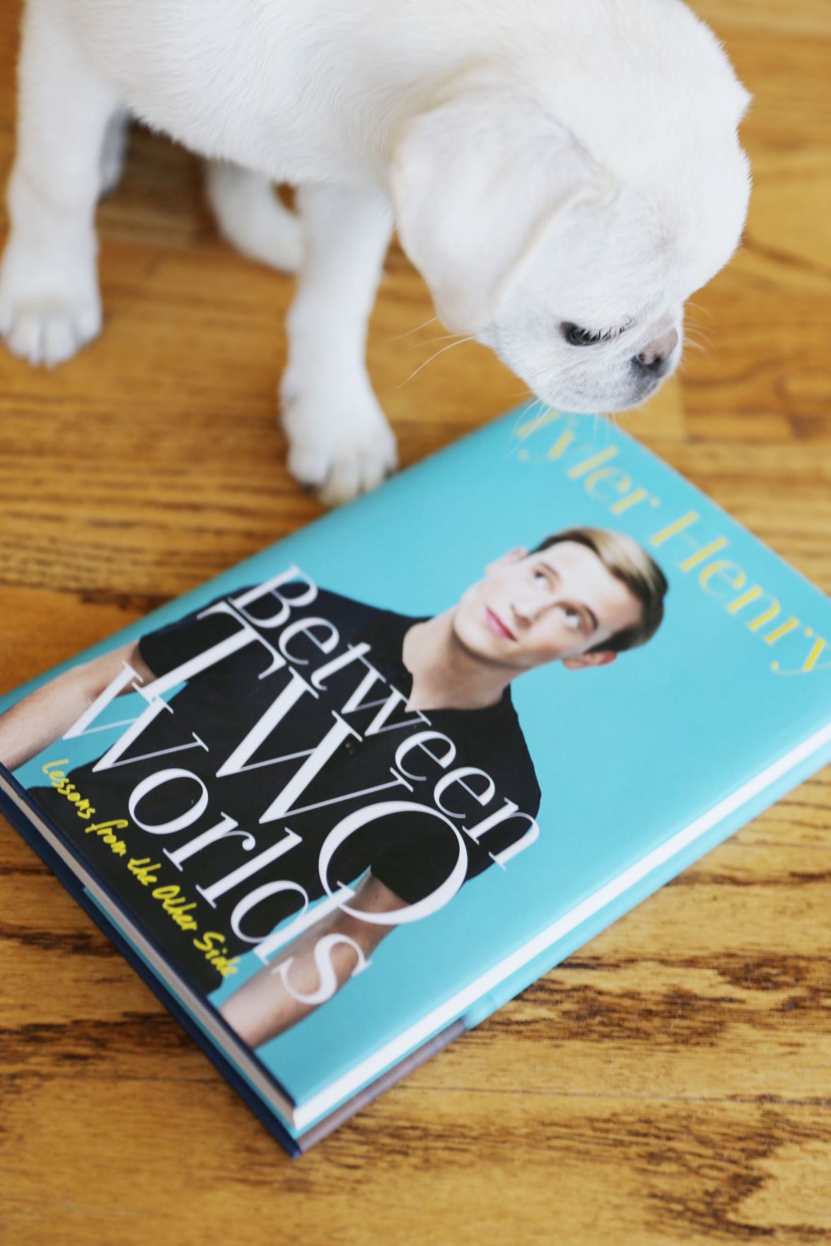 Tyler Henry stays between two worlds | News | hanfordsentinel.com