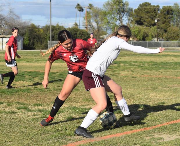 Hanford girls soccer remembers Ryan, Zach Hulbert | News ...