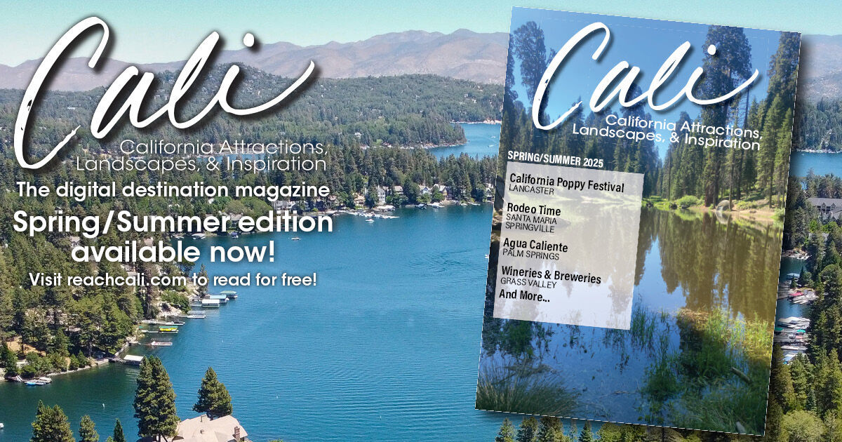 We're excited to introduce Cali | Spring and Summer Edition Now ...