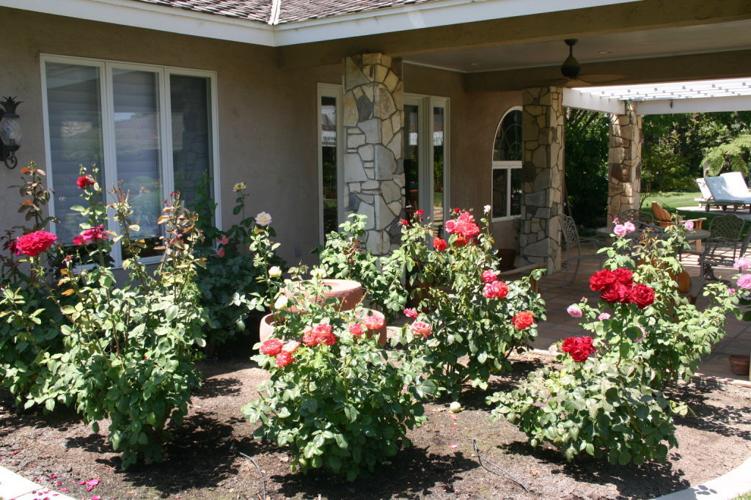 Garden Tour returns in April | Lifestyles | hanfordsentinel.com