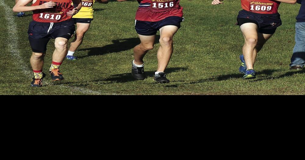 Buchanan boys edge Mustangs in county cross country meet | Sports ...