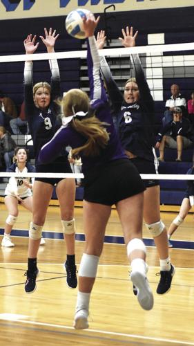 Mustang volleyball team wins league tournament | Sports | harborcountry ...