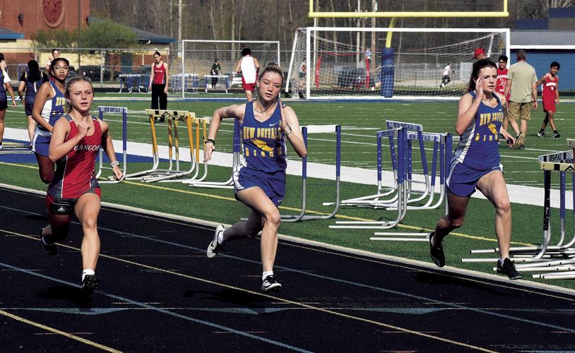 New Buffalo track teams triumphant at home | Sports | harborcountry ...