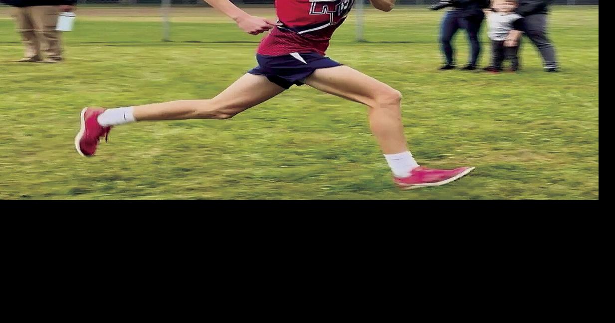 Rogers wins Berrien County Cross Country meet | News | harborcountry ...