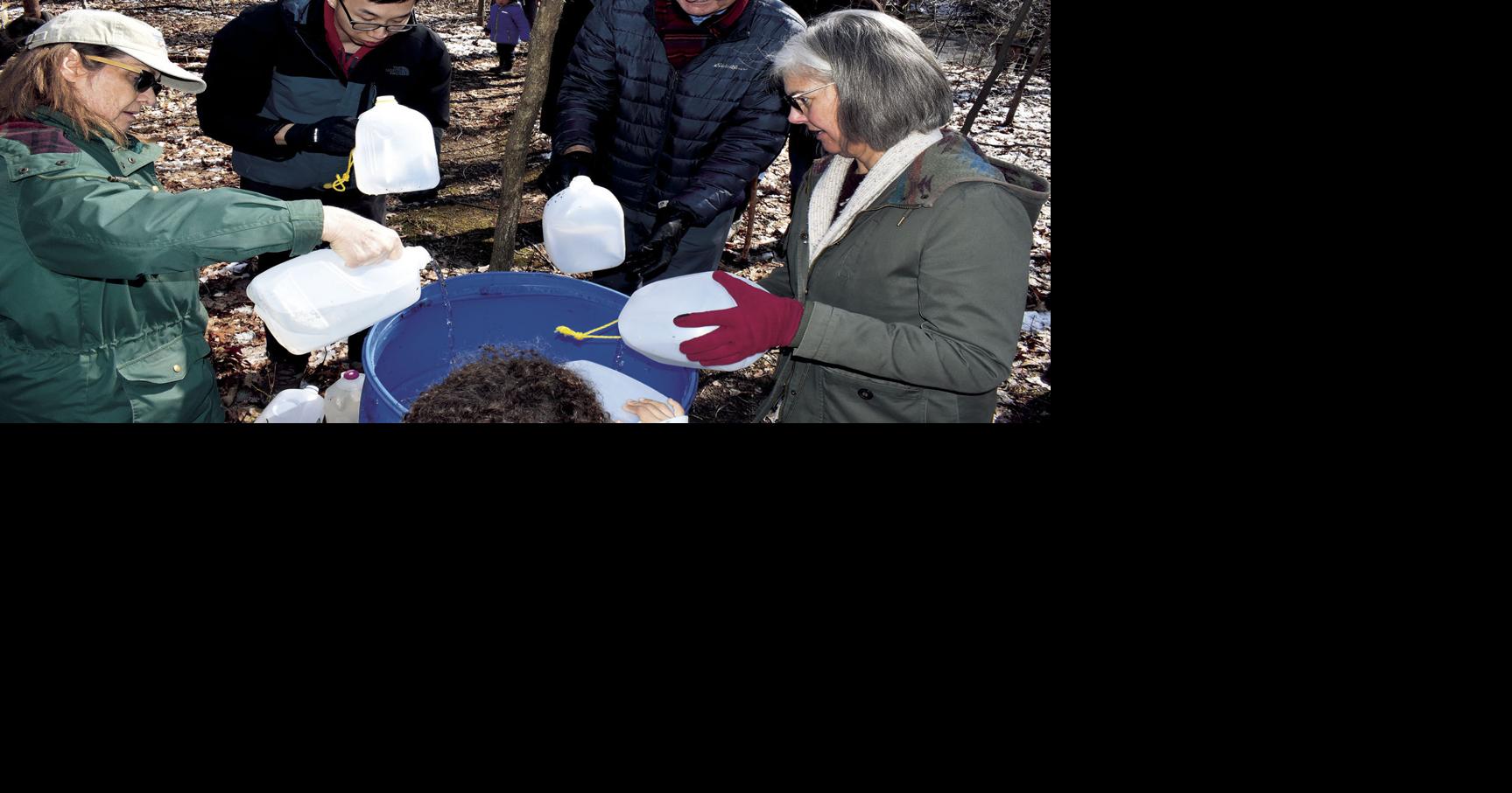 Maple syrup magic at Covenant Farm | Features | harborcountry-news.com