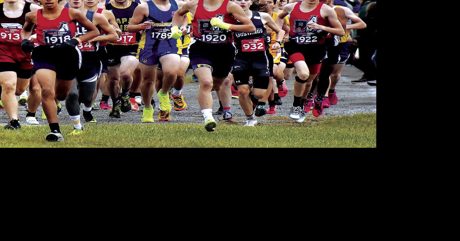 Mustangs Stampede at the State Meet | Sports | harborcountry-news.com