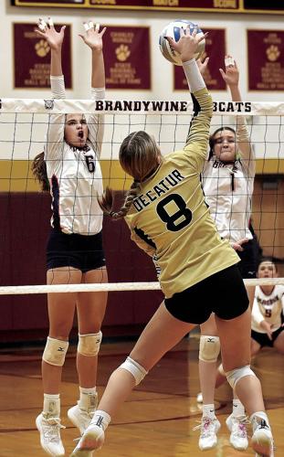 Bees, Mustangs reach district volleyball finals | Sports ...
