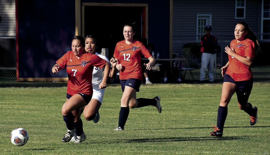 Bison, Bees win first-round soccer district matches | Sports ...