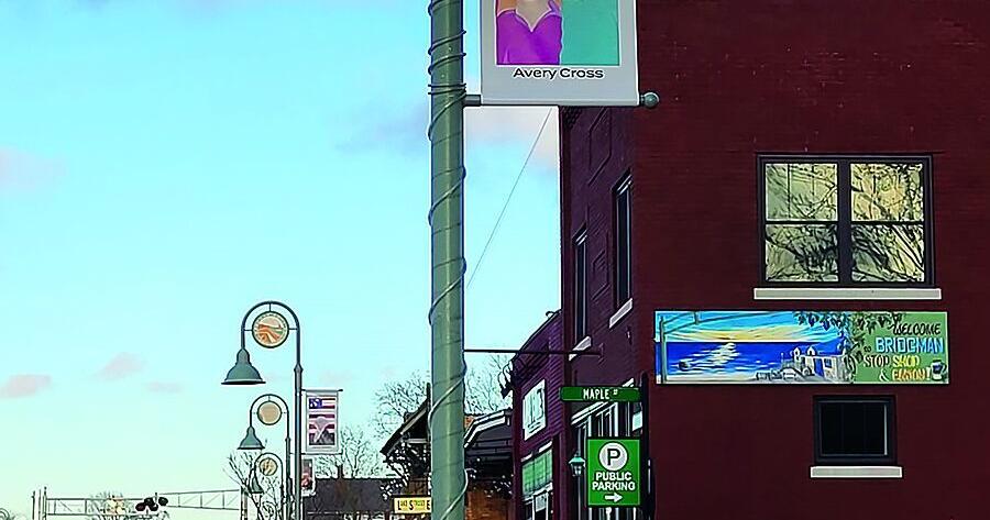 Reed Middle School banners on display in downtown Bridgman | Features ...