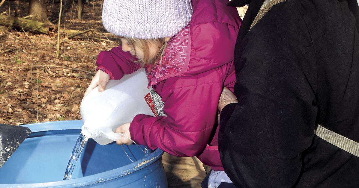 THE MAGICAL MAPLE SYRUP TOUR | Features | harborcountry-news.com