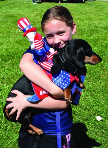 6 18 FLag Day 4 pet parade Dachsund good.jpg | | harborcountry-news.com