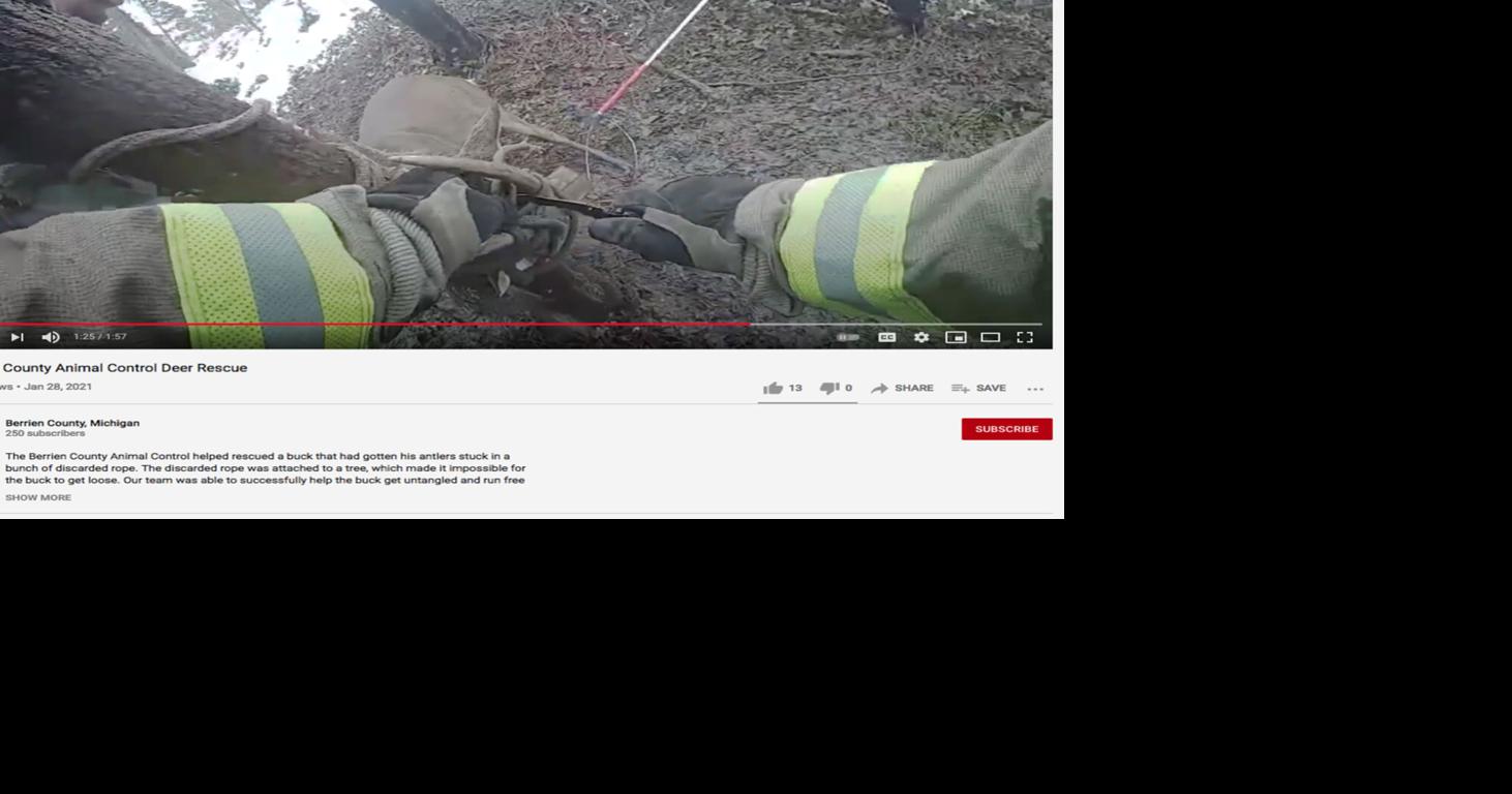 Berrien County Animal Control officer goes extra mile to save entangled ...