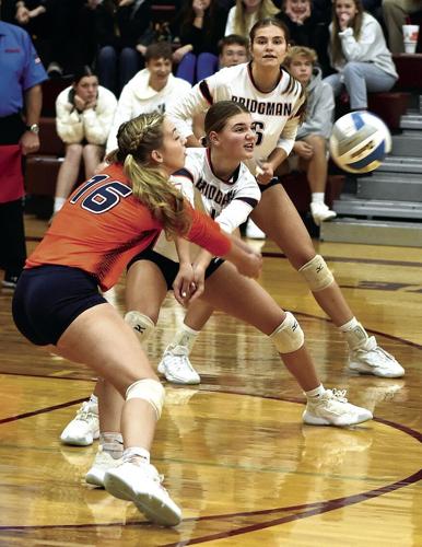 Bees, Mustangs reach district volleyball finals | Sports ...